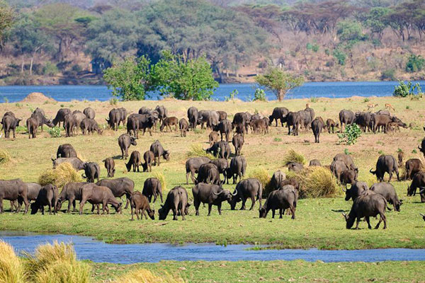 Welcome - Embassy of the Republic of Zimbabwe in Germany